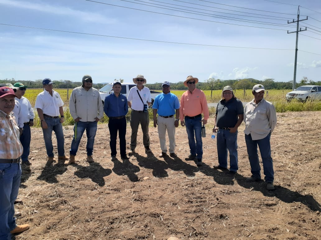 Proyecto Conagro Semillas | Agrosilos S.A.